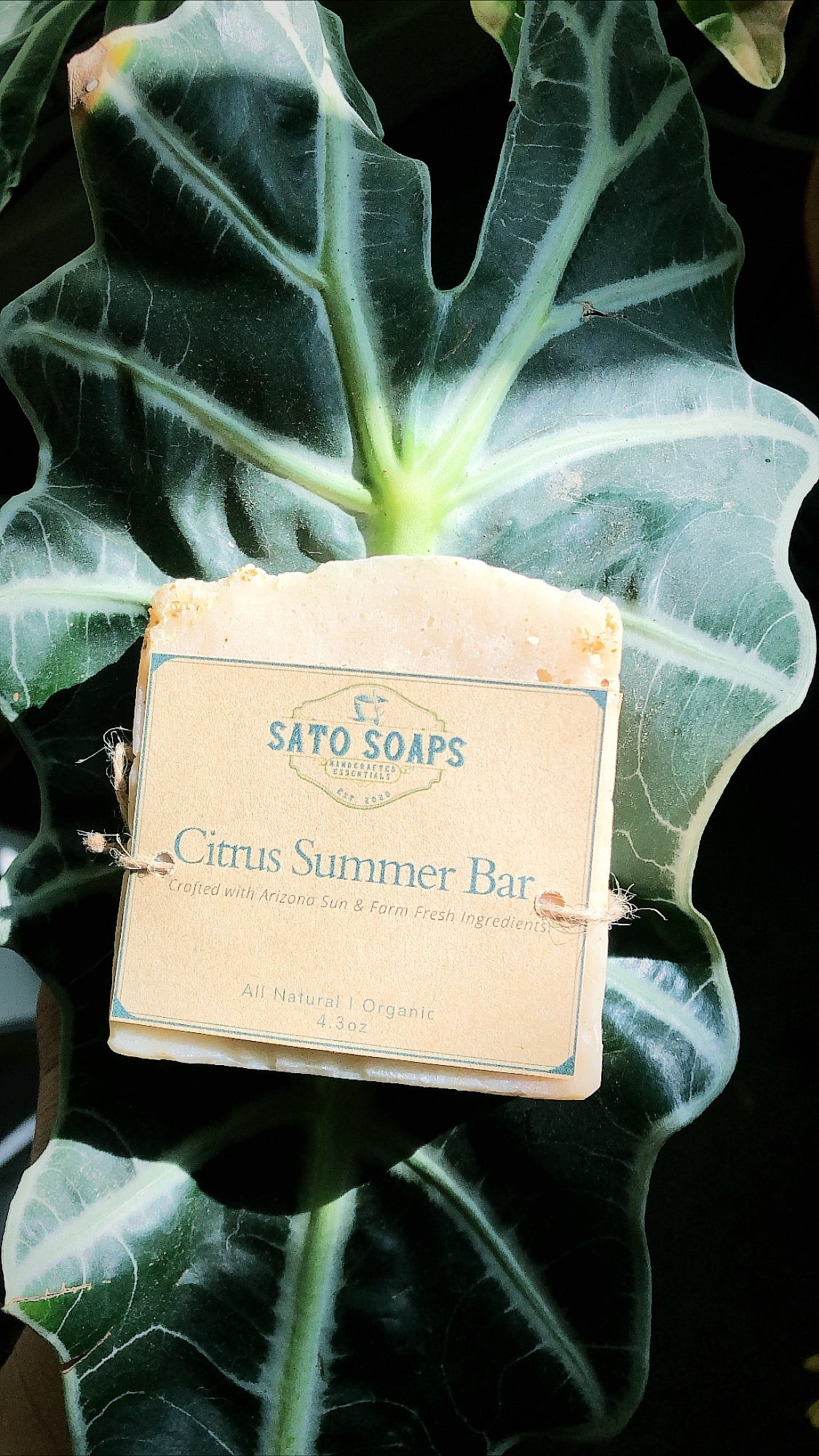 Farm-Fresh Soap Bar Collections – Sato Soaps